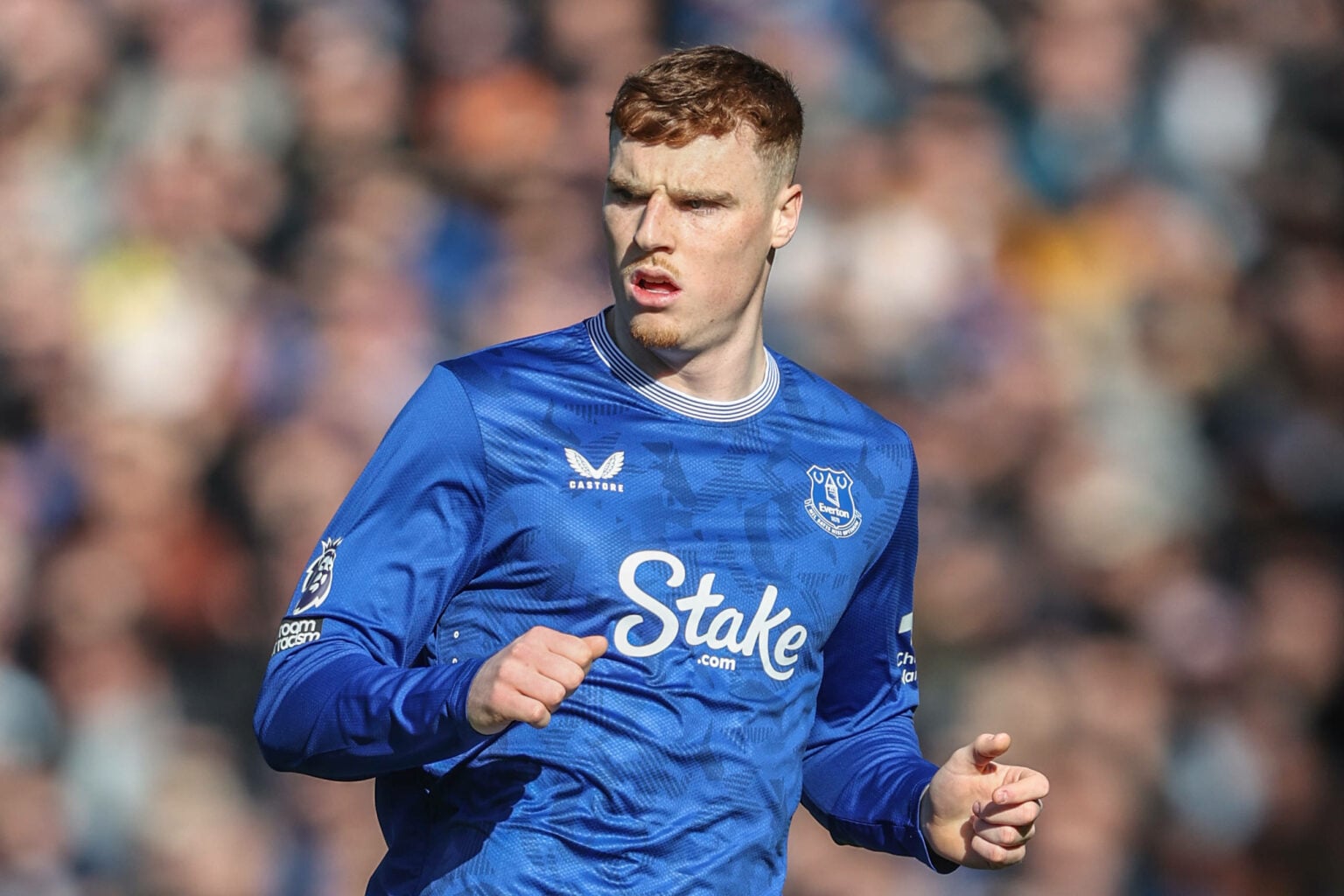 Everton could agree this January loan signing despite what data team ...